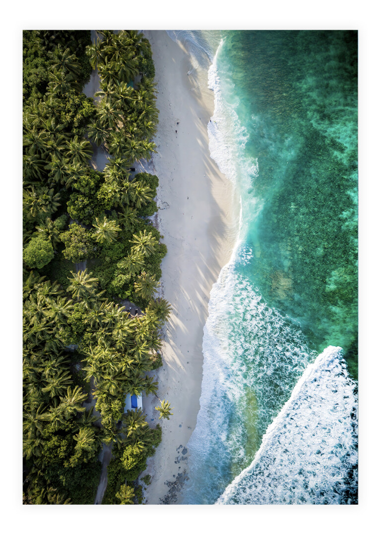 Luftfoto af tropisk strand plakat → Fra 59 Kr.